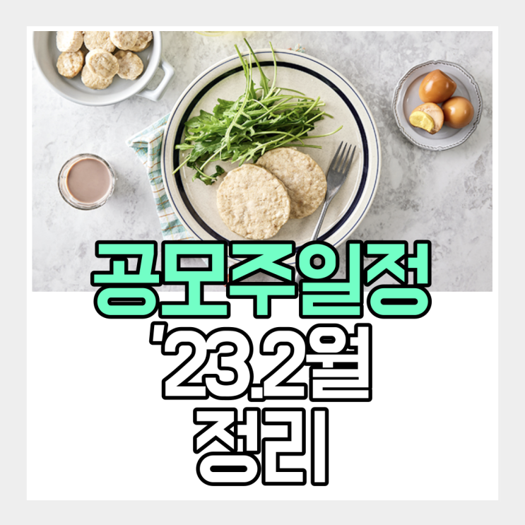 2023년 2월 공모주 일정 요약 Ft 오아시스 제이오 네이버 블로그