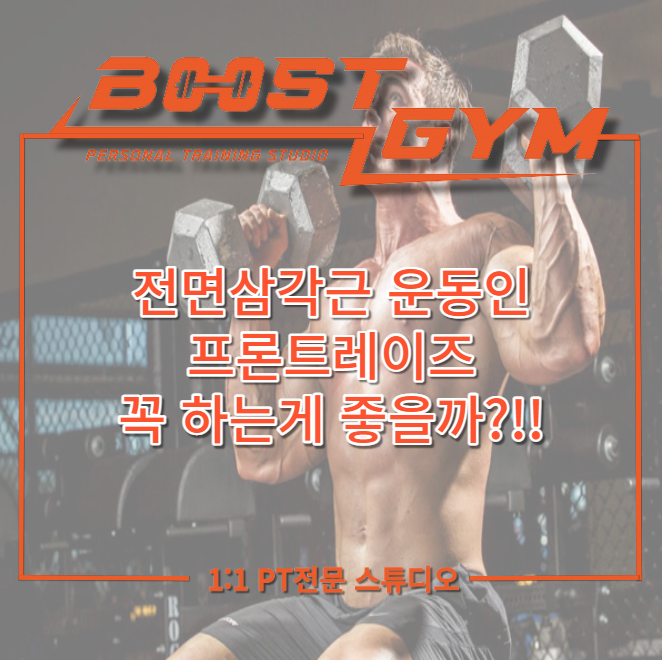 전면삼각근 운동인 프론트 레이즈 꼭 하는게 좋을까 안양pt 안양헬스 비산동pt 비산동헬스 네이버 블로그