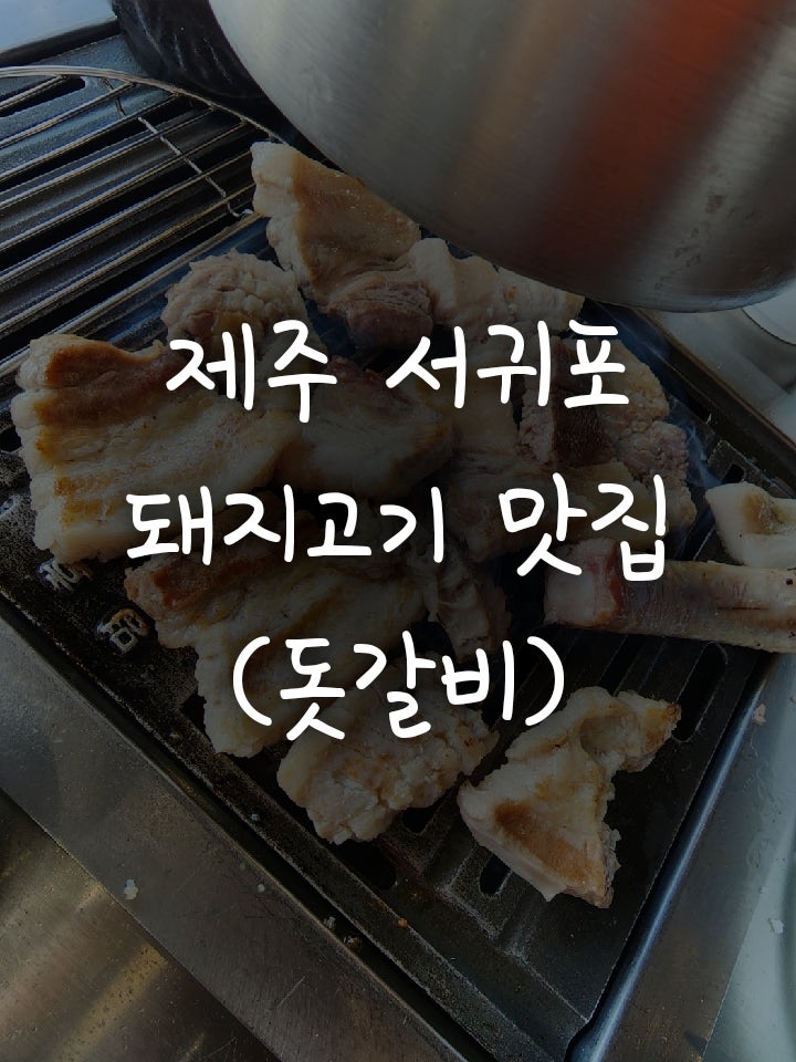 제주 서귀포 중문 돼지고기 맛집 돗갈비 탐방 후기 쫀득한 고기와 새콤달콤한 비빔국수 한점feat 제주서귀포맛집