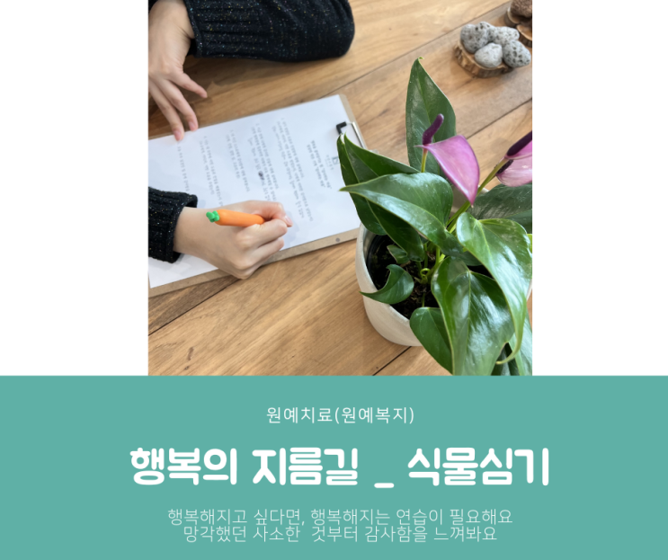 원예치료프로그램 원예치유 행복한삶 식물심기를 통해 행복해지는 방법 알기 마음챙김 네이버 블로그