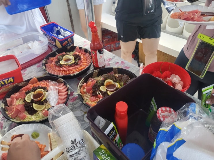 15개월 아기랑 괌 여행 괌 돌핀투어 돌고래투어 아기랑 다녀왔어요 파란크루즈 네이버 블로그