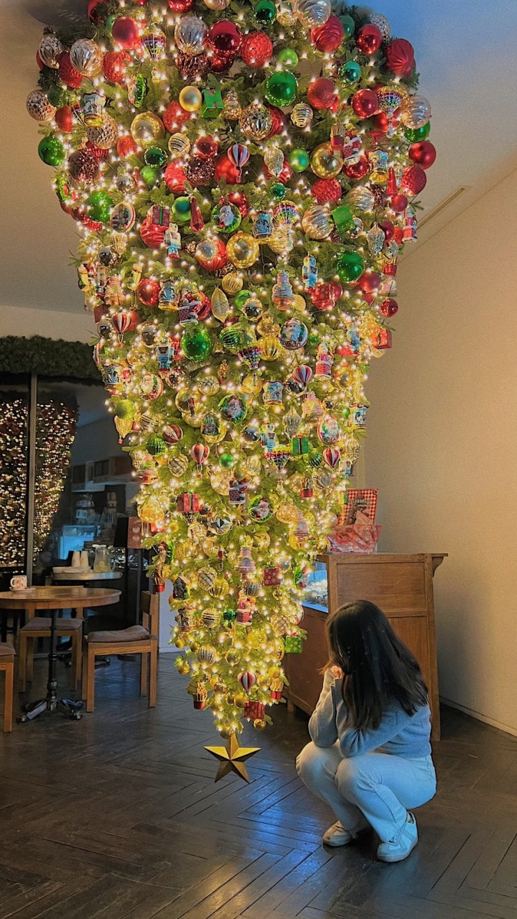 [221203]생일 기념 혼자 제주여행(하버하우스웨스트, 송도옥, 마마롱, 미국식 제주점) : 네이버 블로그