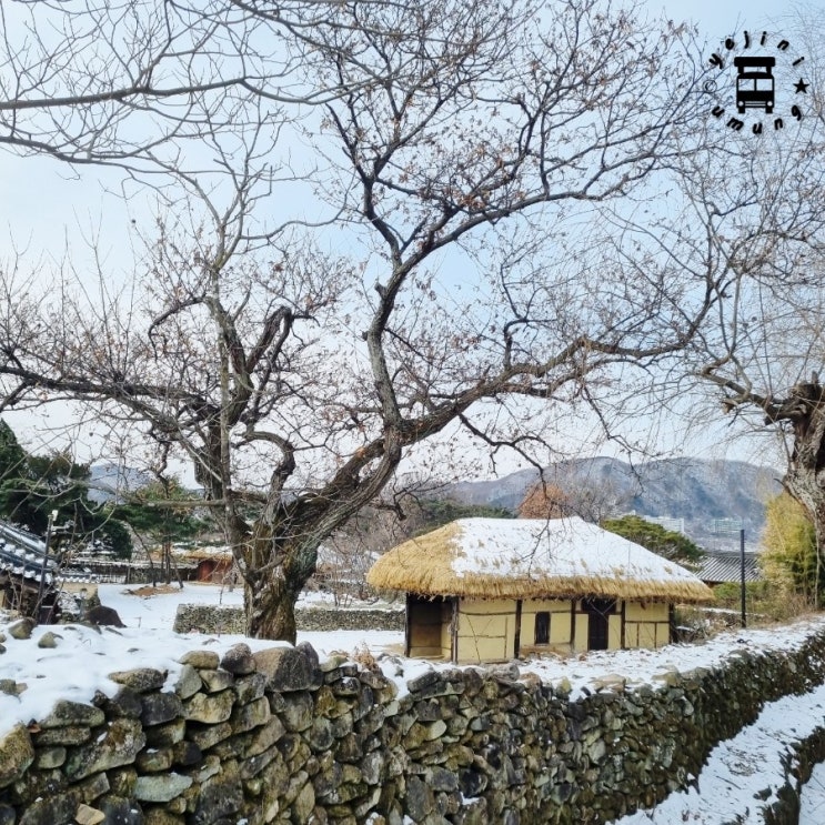 충남 아산 가볼만한곳 산책하기 좋은 곳 외암민속마을 네이버 블로그