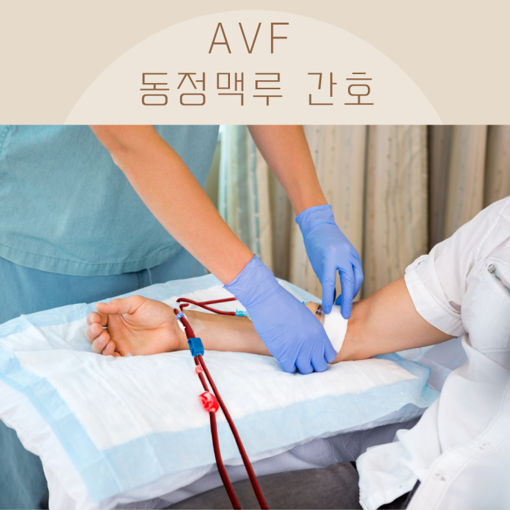의학용어 AVF 동정맥루 thrill 체크 및 간호 : 네이버 블로그
