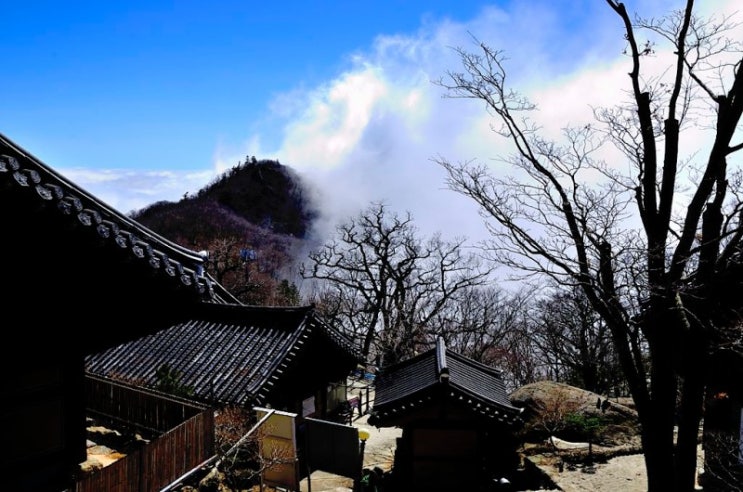 [1년 전 오늘] 지리산 겨울 산행 : 네이버 블로그
