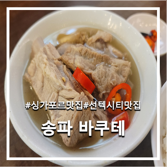싱가포르 여행6 2 송파바쿠테song Fa Bak Kut Teh대형 쇼핑몰 선텍시티 둘러보기 네이버 블로그
