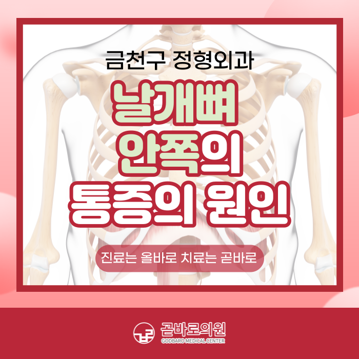금천구 정형외과 날개뼈 안쪽의 통증의 원인 네이버 블로그