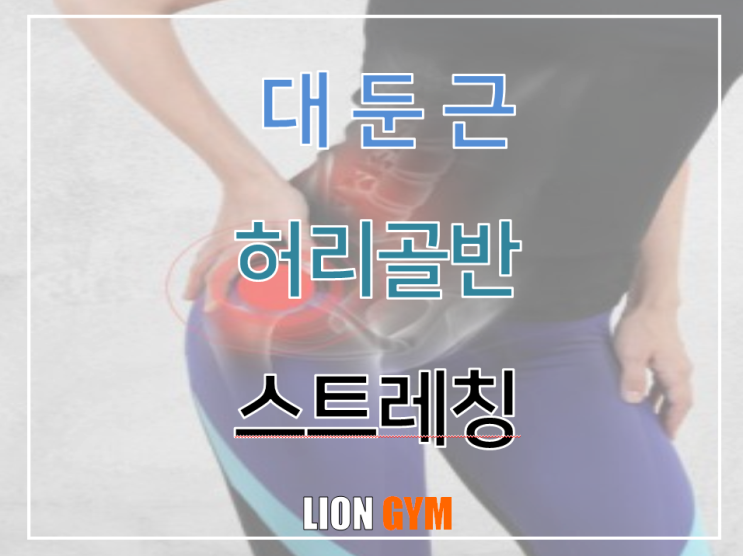 라이언짐 양벌점 양벌리헬스장 양벌리pt 대둔근스트레칭 경기광주헬스장 엉덩이통증 스트레칭 오포읍헬스장