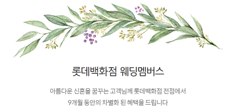 W 롯데 웨딩멤버스 가입 방법 적립혜택 앱 설치 총정리 23년 상반기 더블적립일정 네이버 블로그