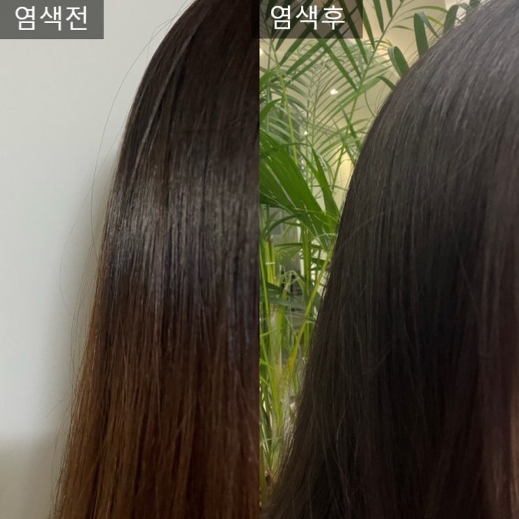 미쟝센 헬로버블 다크애쉬 톤다운 셀프 염색 후기 네이버 블로그
