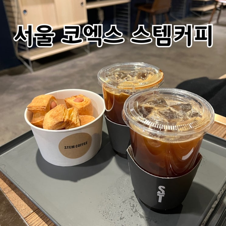 서울 나들이 삼성역 코엑스 스템커피 고고싱 점심먹고 북앤레스트까지 네이버 블로그
