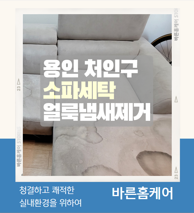 용인 패브릭 소파 고양이 오줌 냄새와 얼룩제거 세탁으로 깨끗하게 해결하는 방법 네이버 블로그