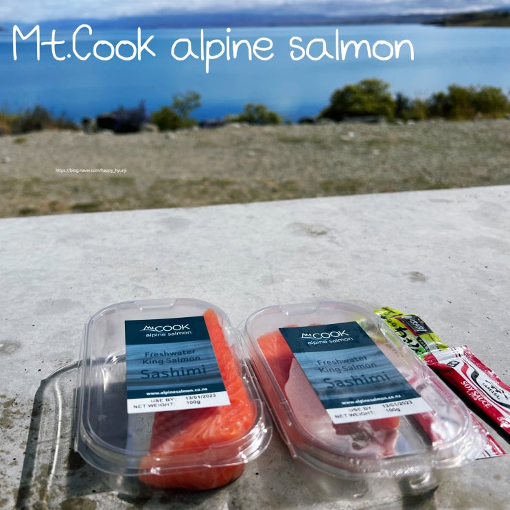 푸카키호수 마운트쿡 알파인 연어 alpine salmon : 네이버 블로그
