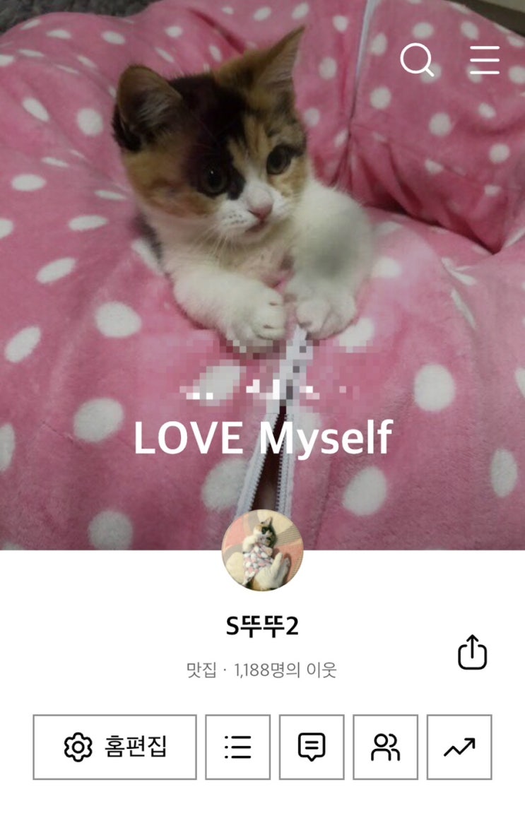 [블로그 체험단 사이트 1탄] 신청 방법 및 종류 : 네이버 블로그