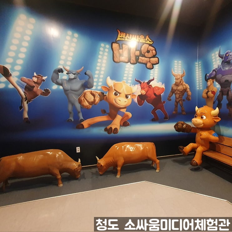 경북 청도 소싸움 테마파크 미디어체험관 실내 아이와 가볼만한 곳 네이버 블로그