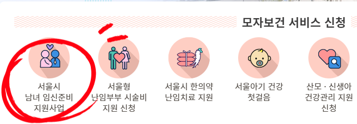 정보 서울시 남녀임신준비지원사업에 대해 알아보기 보건소산전검사 신청방법 영양제지원받는법 네이버 블로그