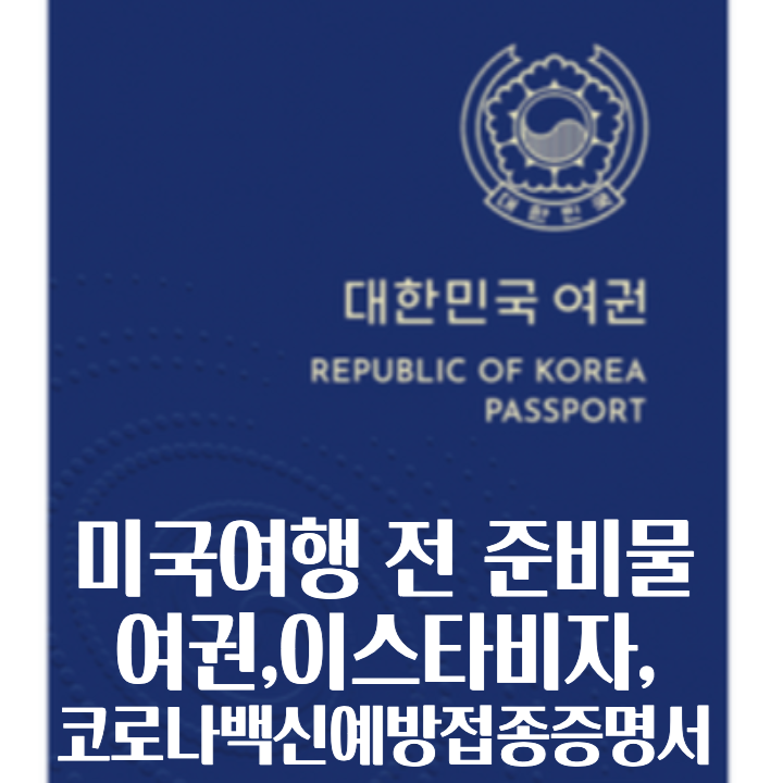 미국놀러가기전준비물 미국여행준비물 여권발급받기 Esta 비자신청방법 코로나백식예방접종증명서 수수료0원해외여행체크카드 네이버 블로그