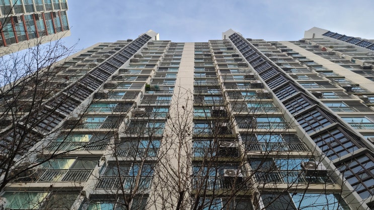 아파트 탐조하는 날 : 네이버 블로그