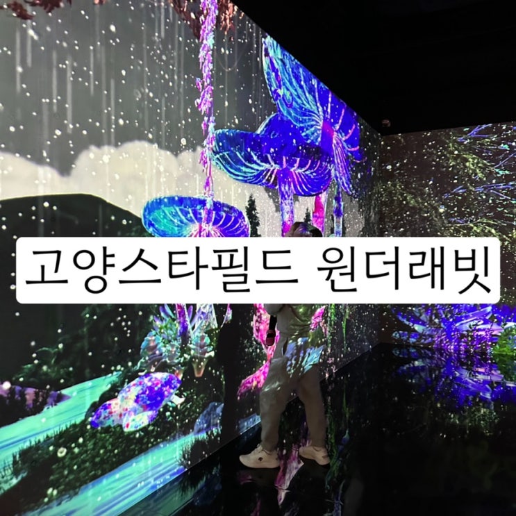 고양 스타필드 원더래빗 아이랑갈만한곳 고양스타필드꿀팁 스타필드 고양스타필드놀만한곳 원더래빗후기 데이트필수
