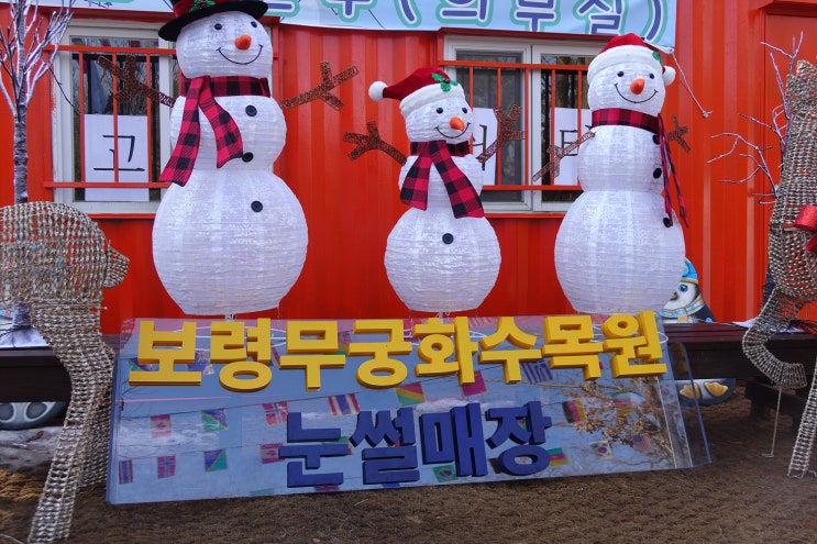 보령 무궁화수목원 눈썰매장 이용기간 보령수목원 아이와 가볼만한 곳 네이버 블로그