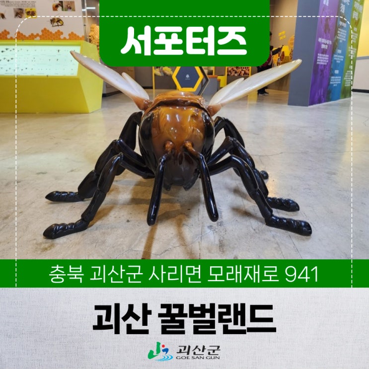 Sns서포터즈 괴산여행 아이와 가볼만한곳 다양한 체험거리가 있는 꿀벌랜드 네이버 블로그