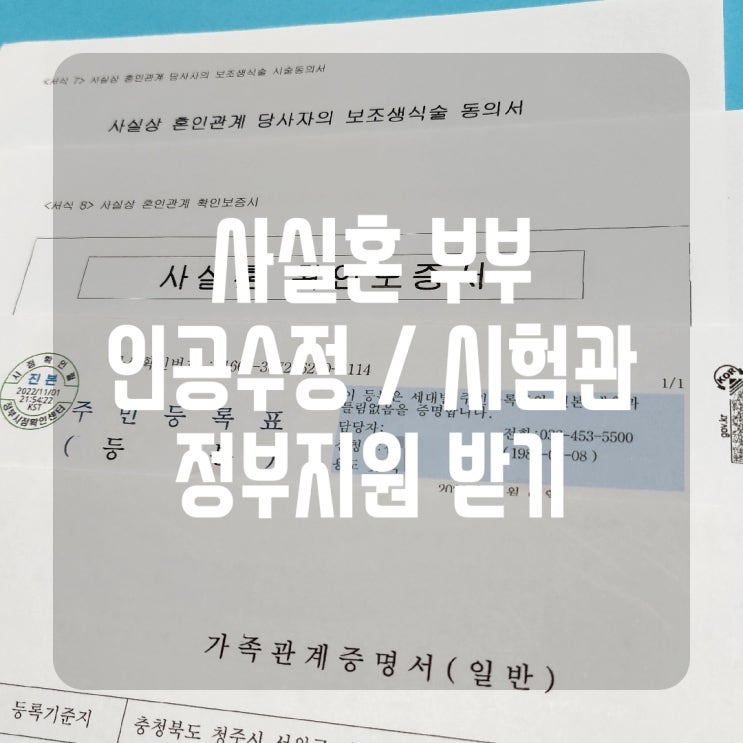 사실혼 시험관 사실혼 인공수정 정부지원 받기 사실혼 난임부부 시술비 지원 네이버 블로그