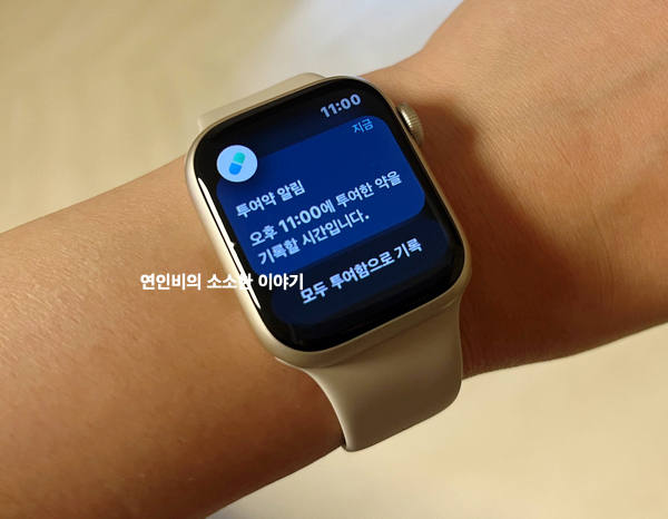 투여약 시차 변경 : 네이버 블로그