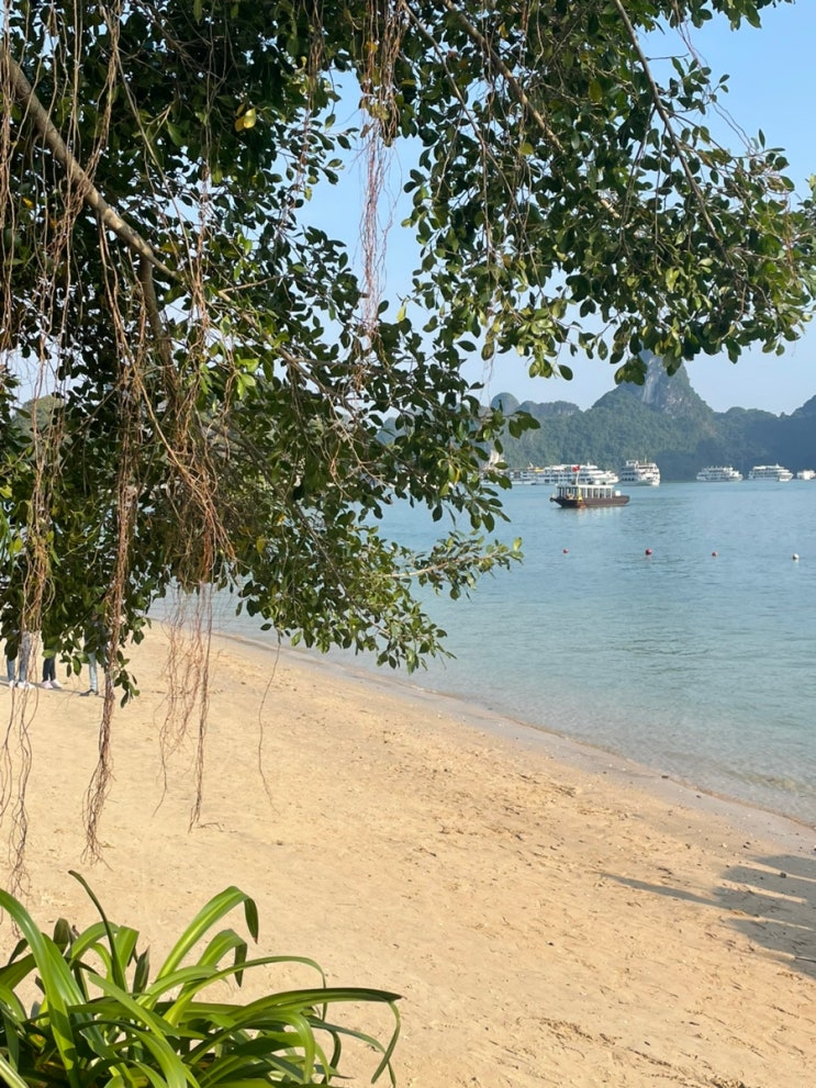 30 : 베트남 - 하노이 2 ( Vietnam - Hanoi 2 ) : 네이버 블로그