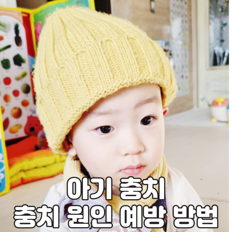 아기 양치 아기 충치 예방 원인 관리 방법 알아보기 네이버 블로그