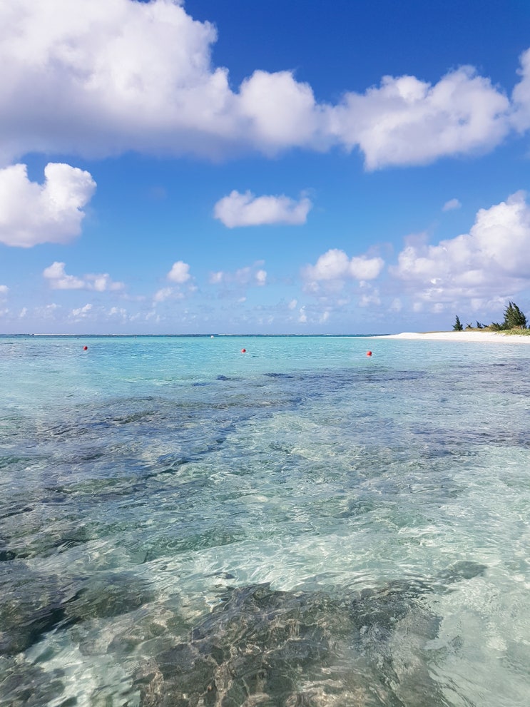 사이판으로 떠나는 가족여행 5일차 : 마나가하섬, 패러세일링, 스노쿨링, 마리아나라이트하우스(Mariana Lighthouse ...