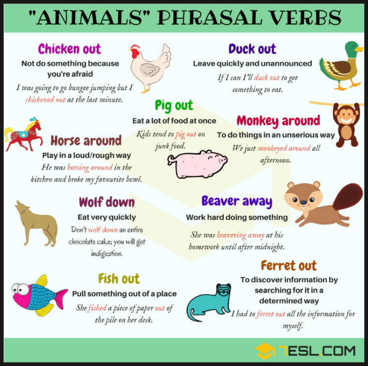 동물 영어표현 [구동사] Animals phrasal verbs 재미있는 : 네이버 블로그