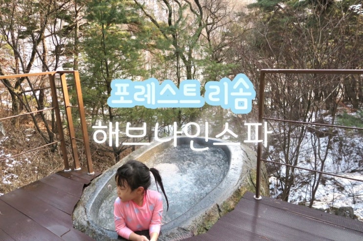 제천 해브나인스파 당일치기 온천여행 설경에서 즐기는 힐링 스파 네이버 블로그