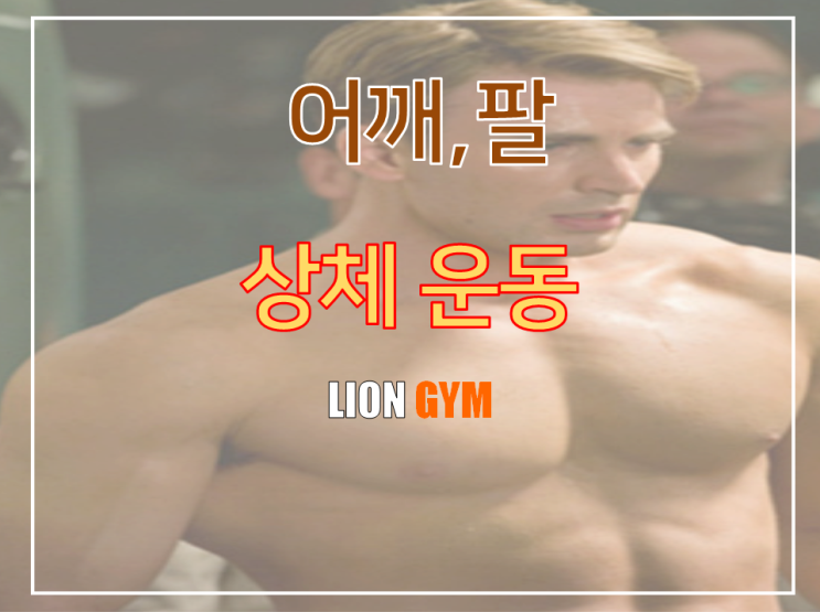 라이언짐 양벌점 양벌리 헬스장 양벌리pt 어깨팔 운동 경기광주헬스장 헬스장운동 상체기구운동 오포읍헬스장