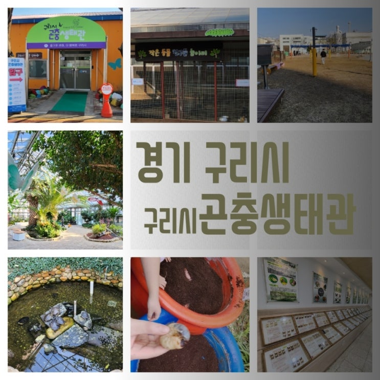 구리 놀거리 볼거리 가득한 곤충생태관 무료관람 네이버 블로그