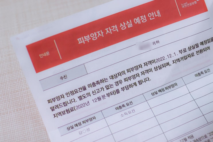 육아 인플루언서 수익 건보료 피부양자 자격 상실 지역가입자 전환해촉증명서 네이버 블로그
