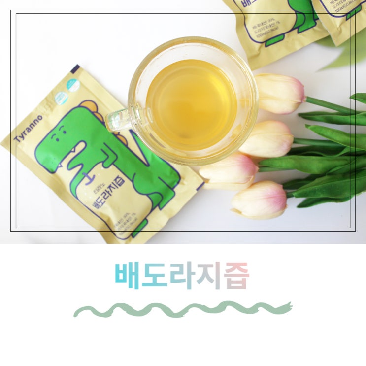 티라노 배도라지즙 아이들이 좋아하는 정착템 네이버 블로그
