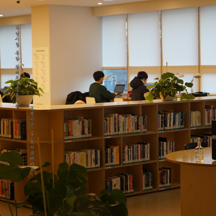 화성시립 동탄 왕배푸른숲도서관 운영시간 및 도서관데이트 네이버 블로그