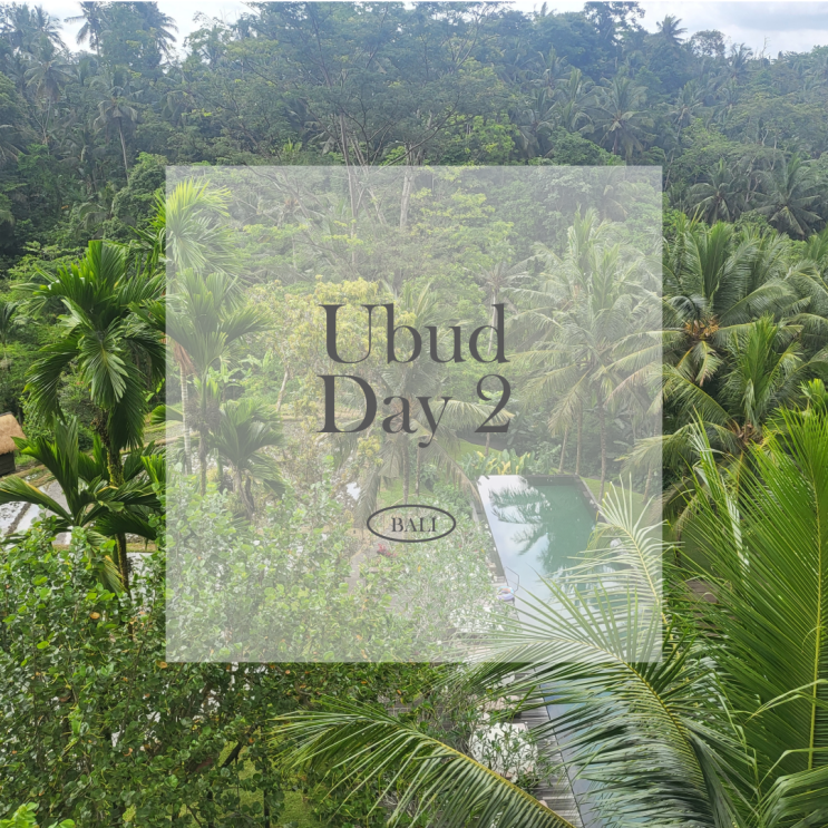 발리 신혼여행(우붓 2일차) : 아융강래프팅, 푸트리 스파2(putri ubud spa 2), Chora : 네이버 블로그