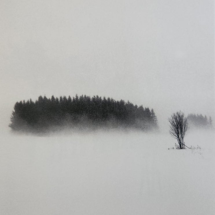 철학자의 나무(Philosopher's Tree) #3 : 네이버 블로그