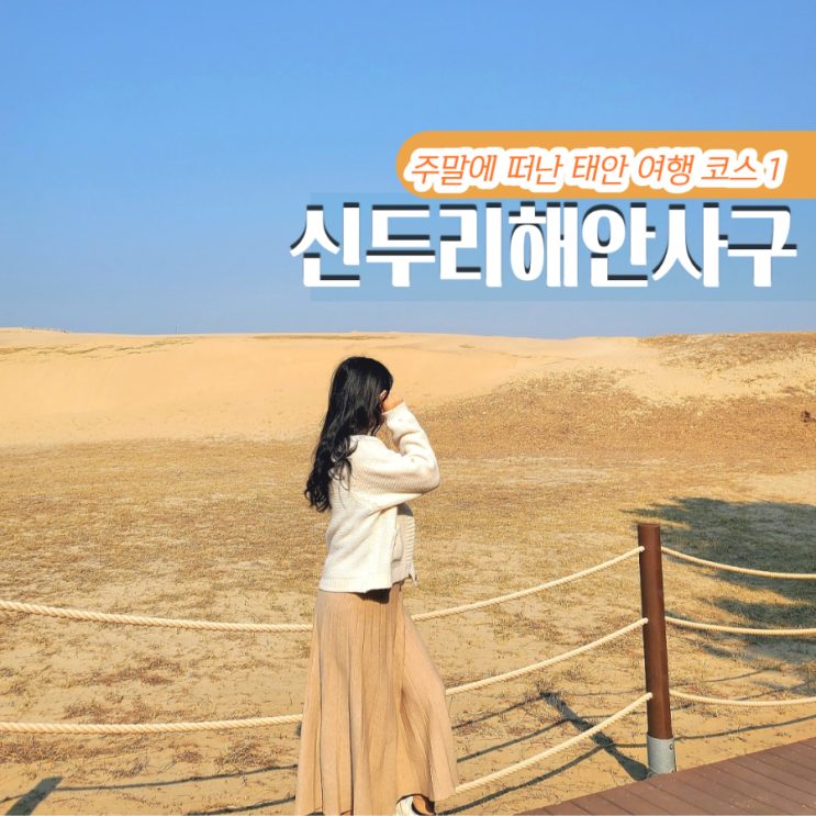 태안 여행 신두리해안사구 사막 주말 갈만한곳 네이버 블로그