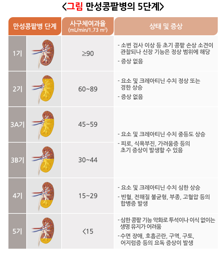 만성신장질환 콩팥병 원인과 위험인자 진단기준 검사 치료 관리 네이버 블로그
