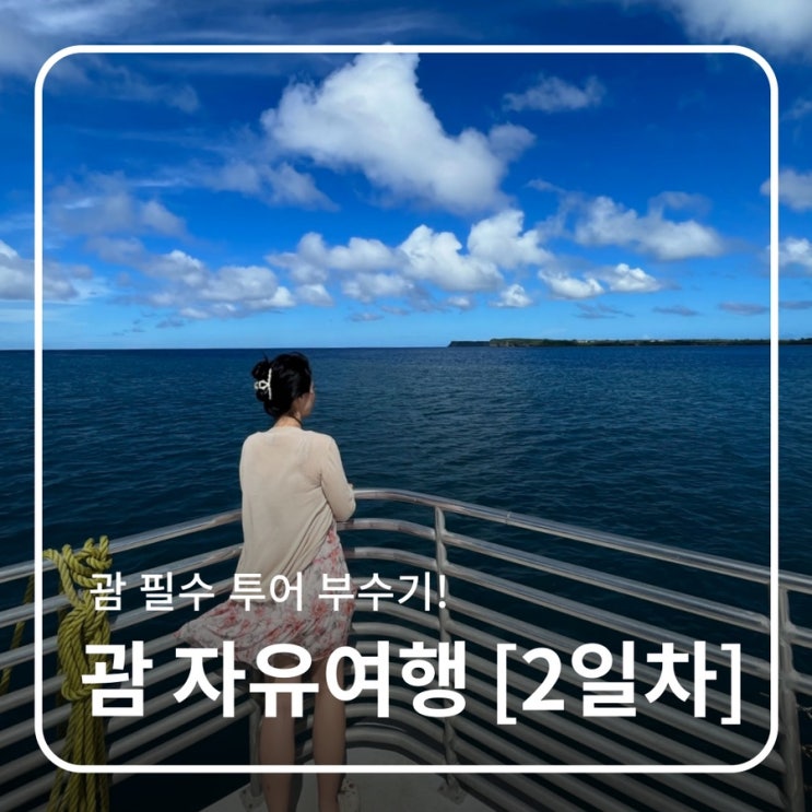 괌 여행 필수 코스 돌핀 크루즈 별빛투어 후기리틀피카스 카프리코사 피자카야 네이버 블로그