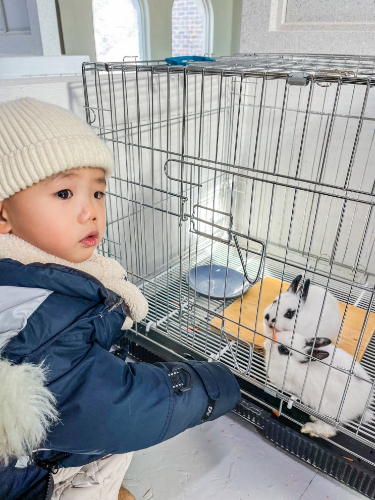 대구 아이와 가볼만한곳 팔공산 하하농장 나들이 후기 네이버 블로그