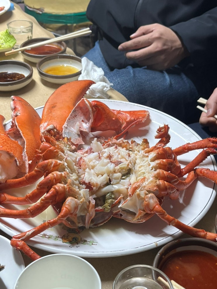 부산 해운대 포장마차촌 해산물 코스요리 랍스터포차|갈매기 12호 네이버 블로그
