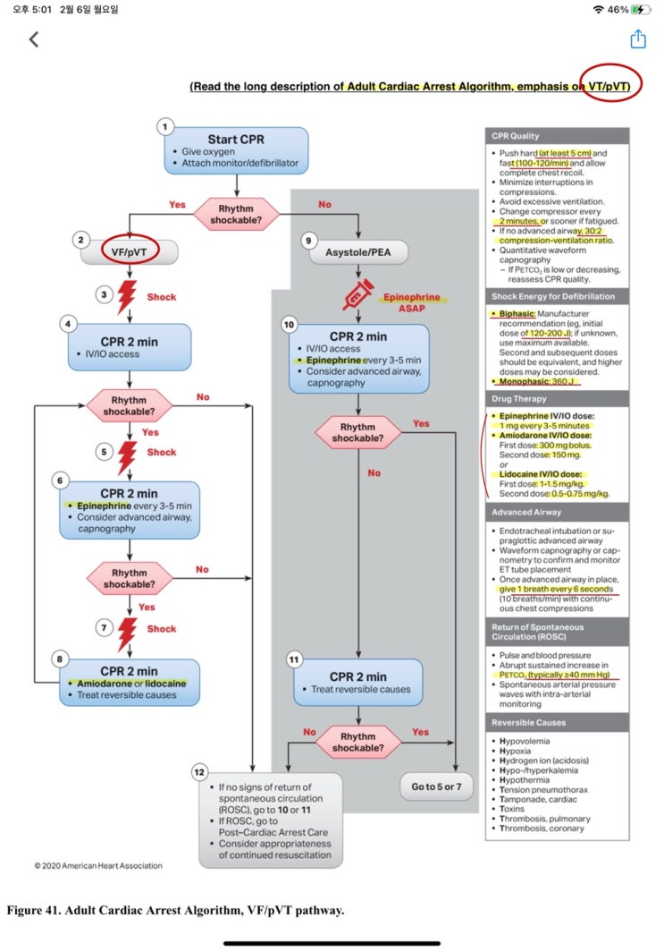 [ACLS] 알고리즘-Adult cardiac arrest, emphasis on VT/pVT : 네이버 블로그