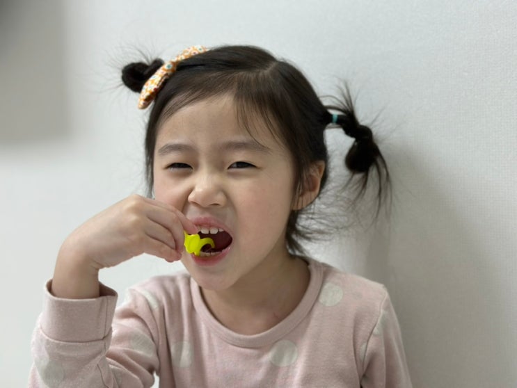 어린이치실 유아치실 사용법 아기 치아 관리 충치 예방 네이버 블로그