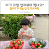 아기 과일 시기 언제부터 6개월 9개월 10개월 올바르게 먹는 법 주의사항 네이버 블로그