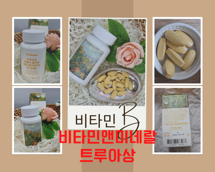 트루아상 패밀리 올인원 종합 멀티비타민 앤 미네랄 하루 한 알로 활력충전 네이버 블로그