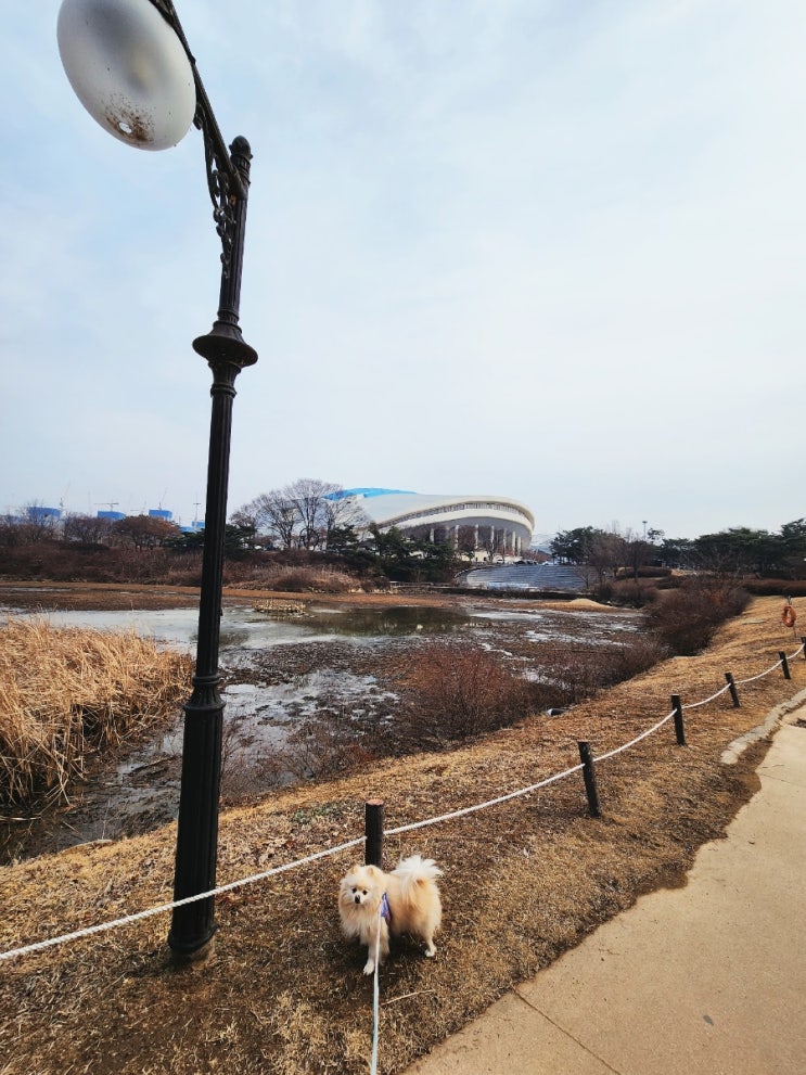 올림픽공원 2월 농구골대 자전거대여소 위치 88마당 88호수 뷰맛집 명당 의자 위치 애견동반여행 산책 코스추천 강동구 송파구