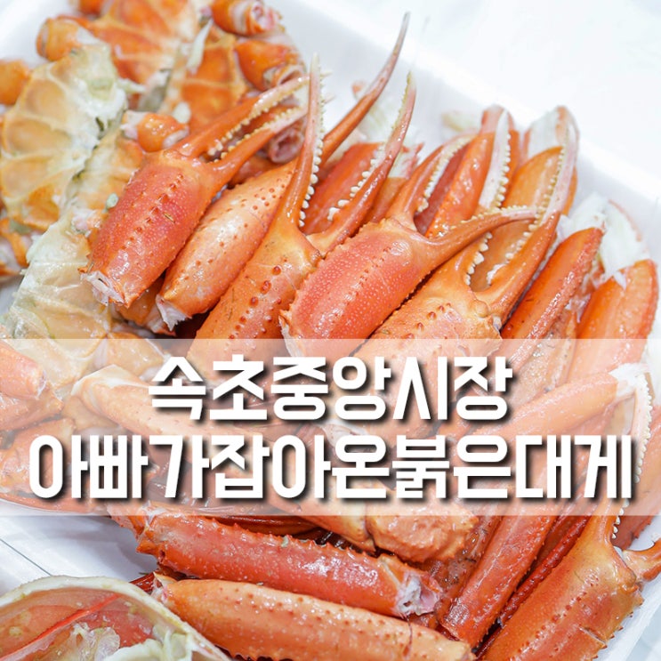 속초중앙시장 대게 가성비 아빠가잡아온붉은대게 네이버 블로그